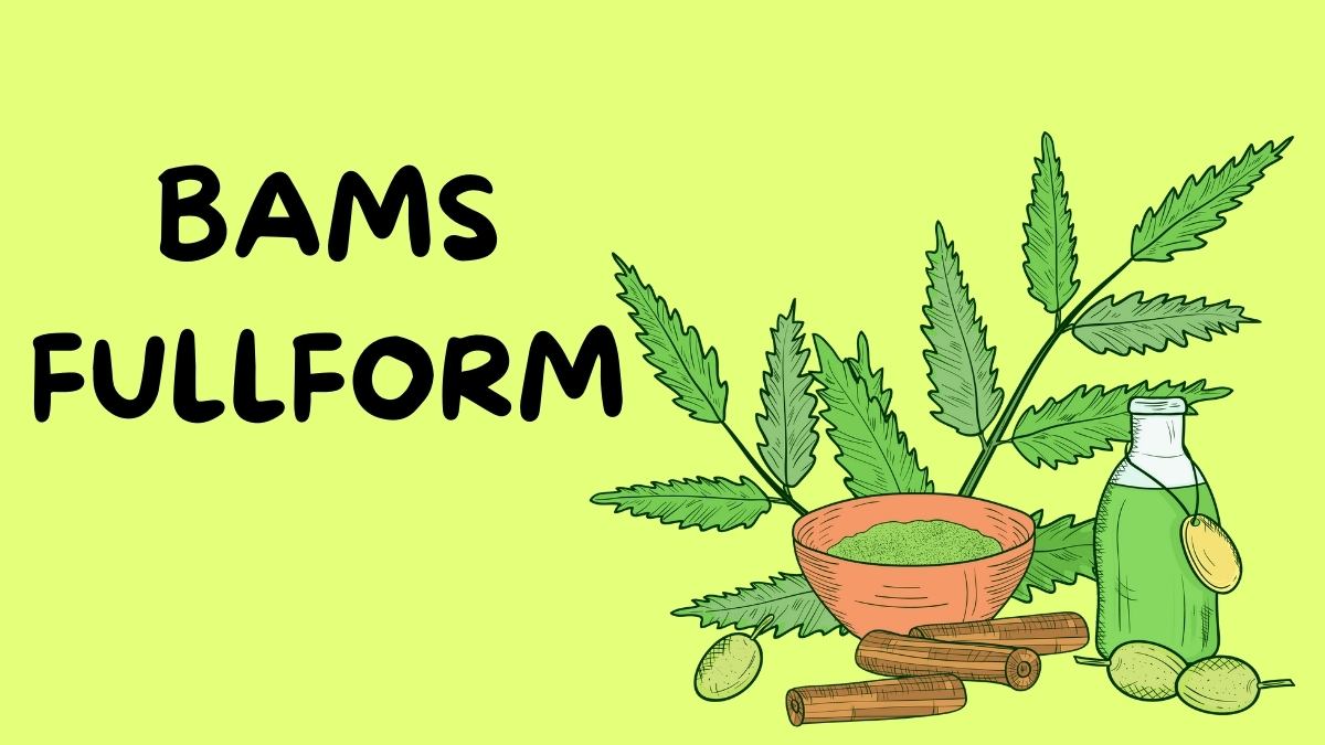 BAMS Full Form: What it is & More Explained | Orchids Intl