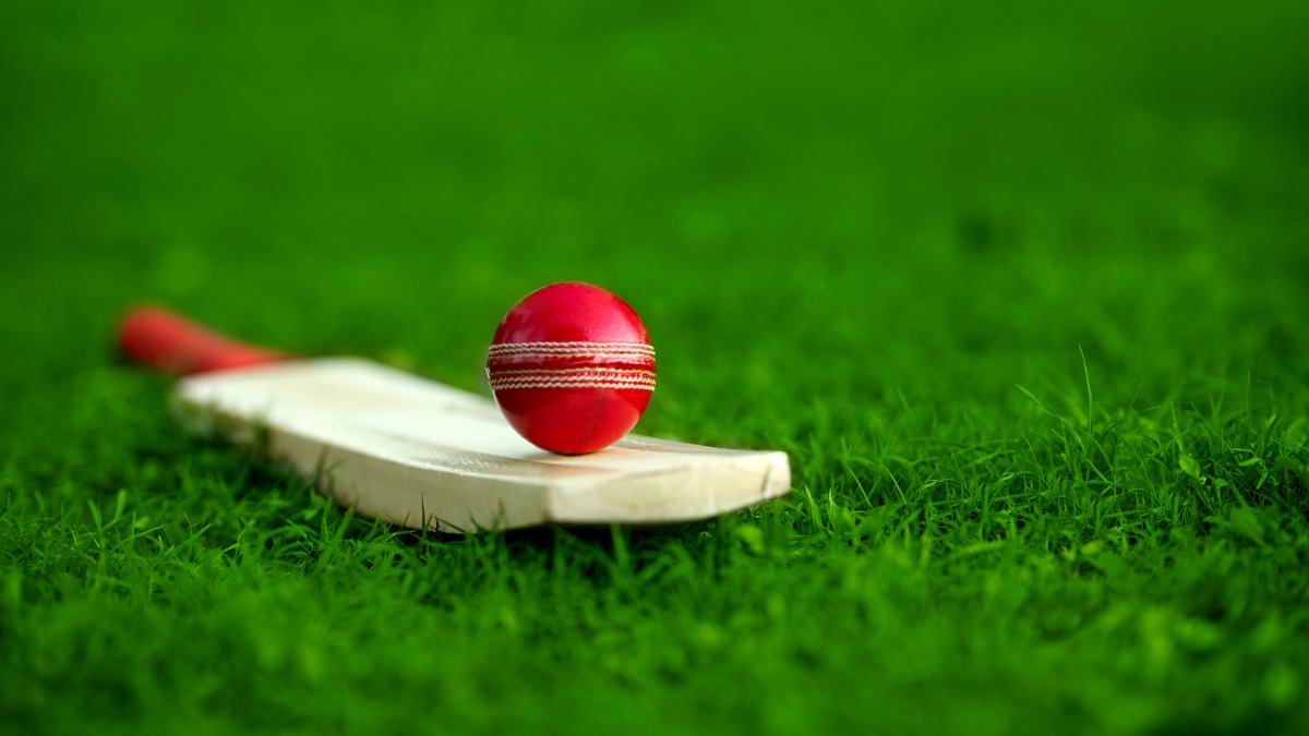 A Guide On Dead Ball In Cricket | Orchids International