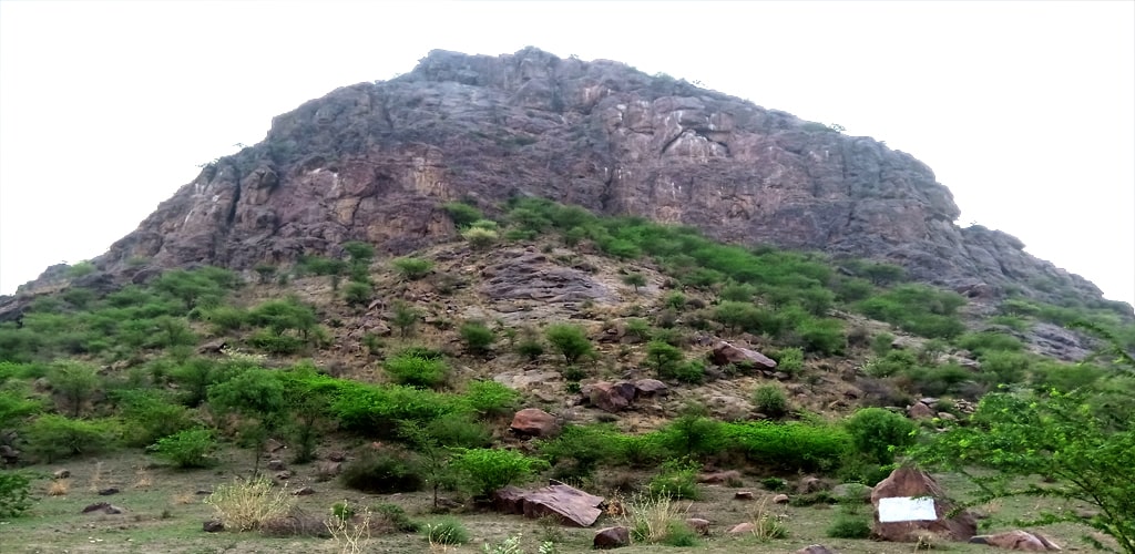 List of Active and Dormant Volcano in India | Orchids