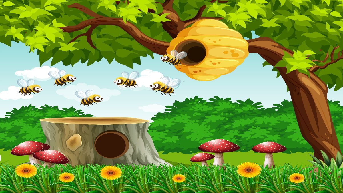 Bee Home Name: Exploring the Structure of a Bee Hive