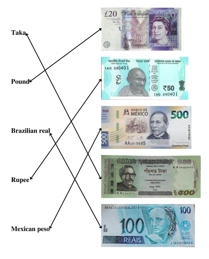 The correct match is shown below: