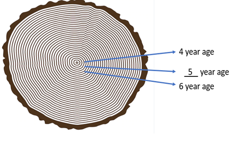 2) Find the Age of the Tree in the Marked Line: