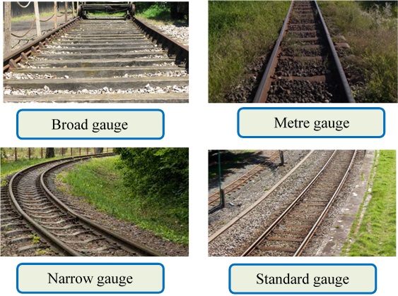 Various Modes of Transport for Class 4 EVS - Orchids