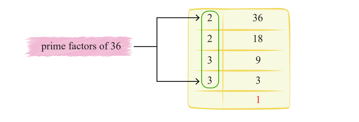 Prime Factorisation - Learn Definition, Methods & Examples