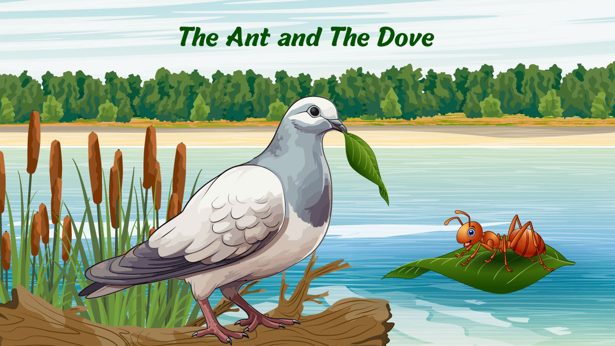 The Ant and the Dove Story for kids | Orchids The International School